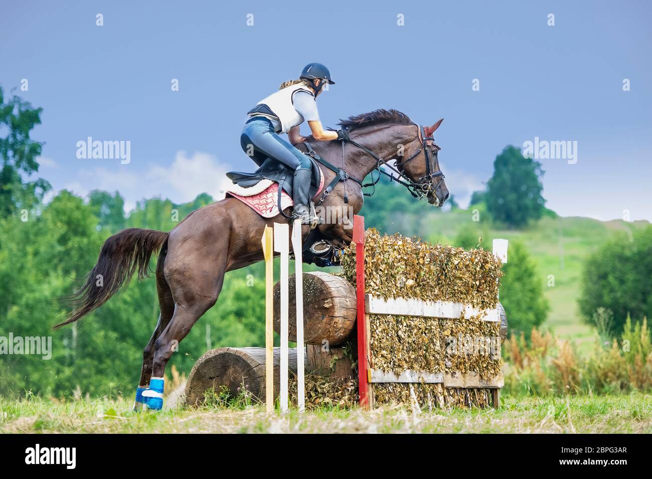 Ein hindernis springen -Fotos und -Bildmaterial in hoher Auflösung – Alamy