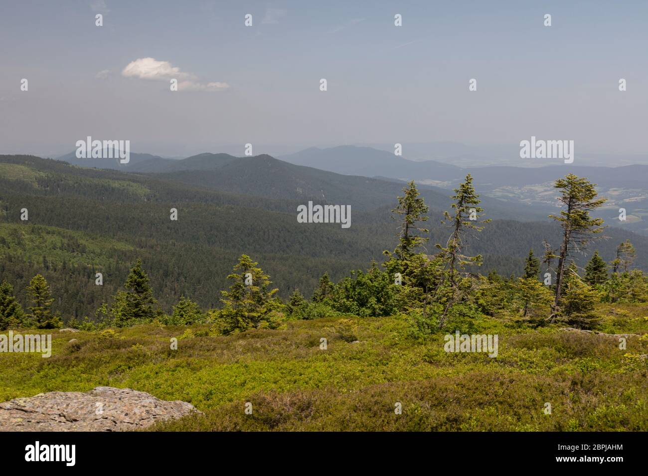 Arber sommer -Fotos und -Bildmaterial in hoher Auflösung – Alamy