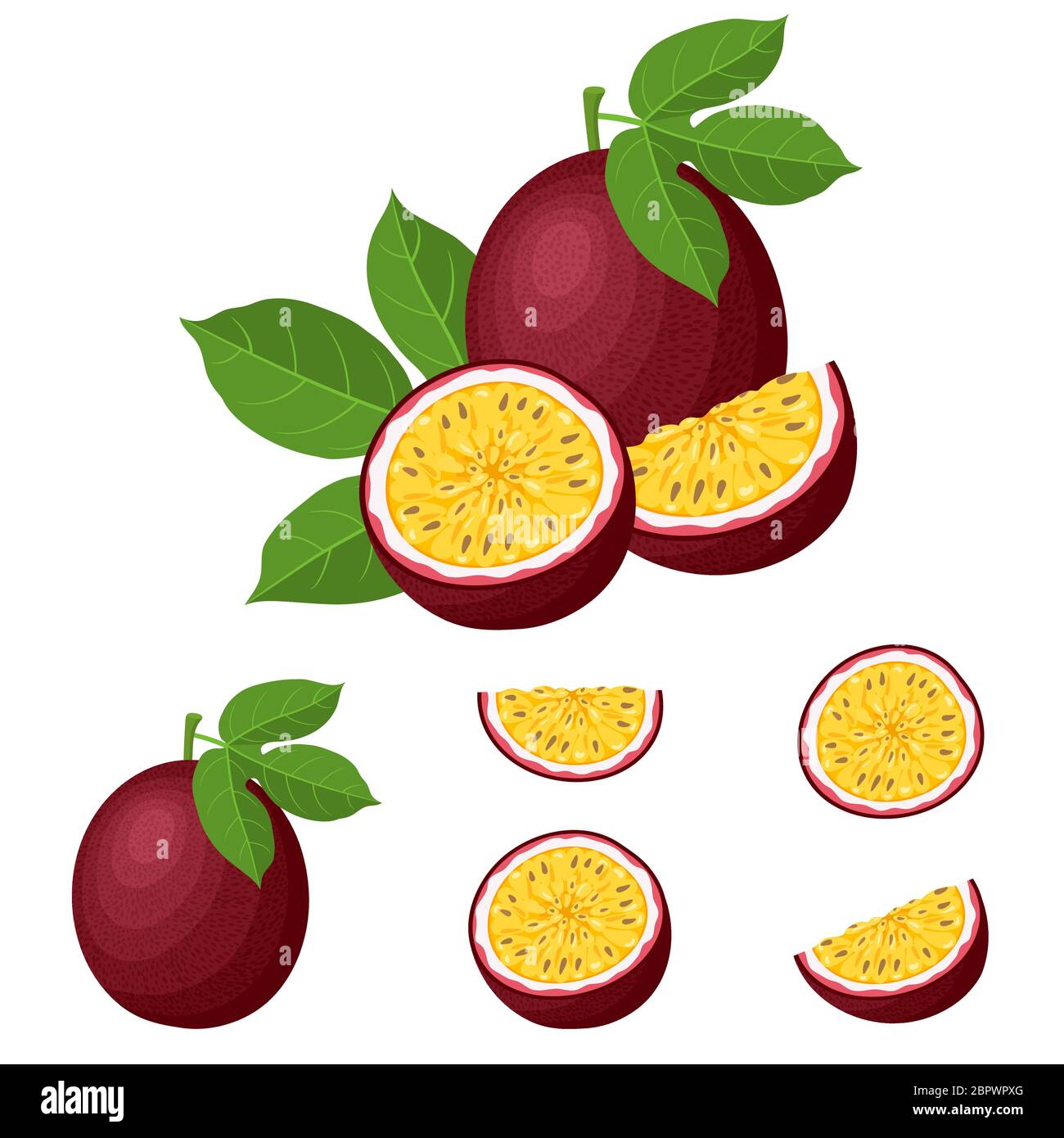 Passiflora zeichnung Stock-Vektorgrafiken kaufen - Seite 2 - Alamy