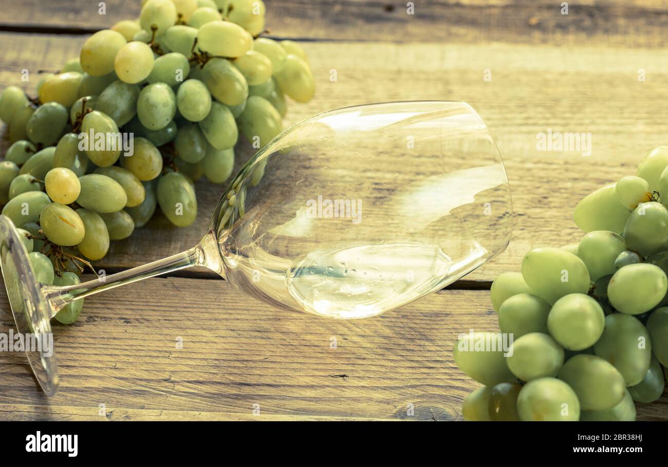 Moscato traube -Fotos und -Bildmaterial in hoher Auflösung – Alamy