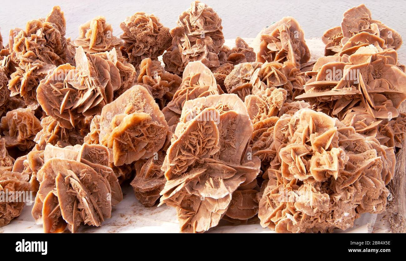 Gypsum Rose Stockfotos und -bilder Kaufen - Alamy