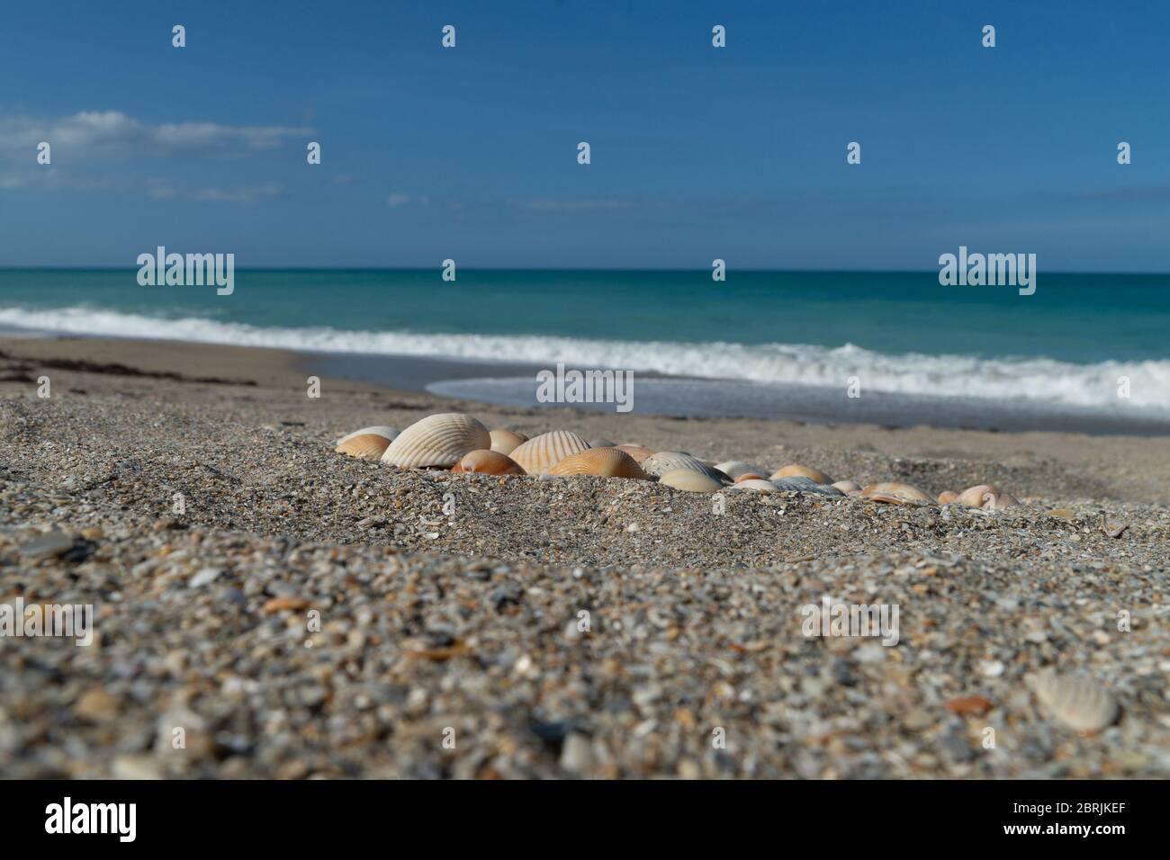 Grober strandsand mit muscheln -Fotos und -Bildmaterial in hoher ...