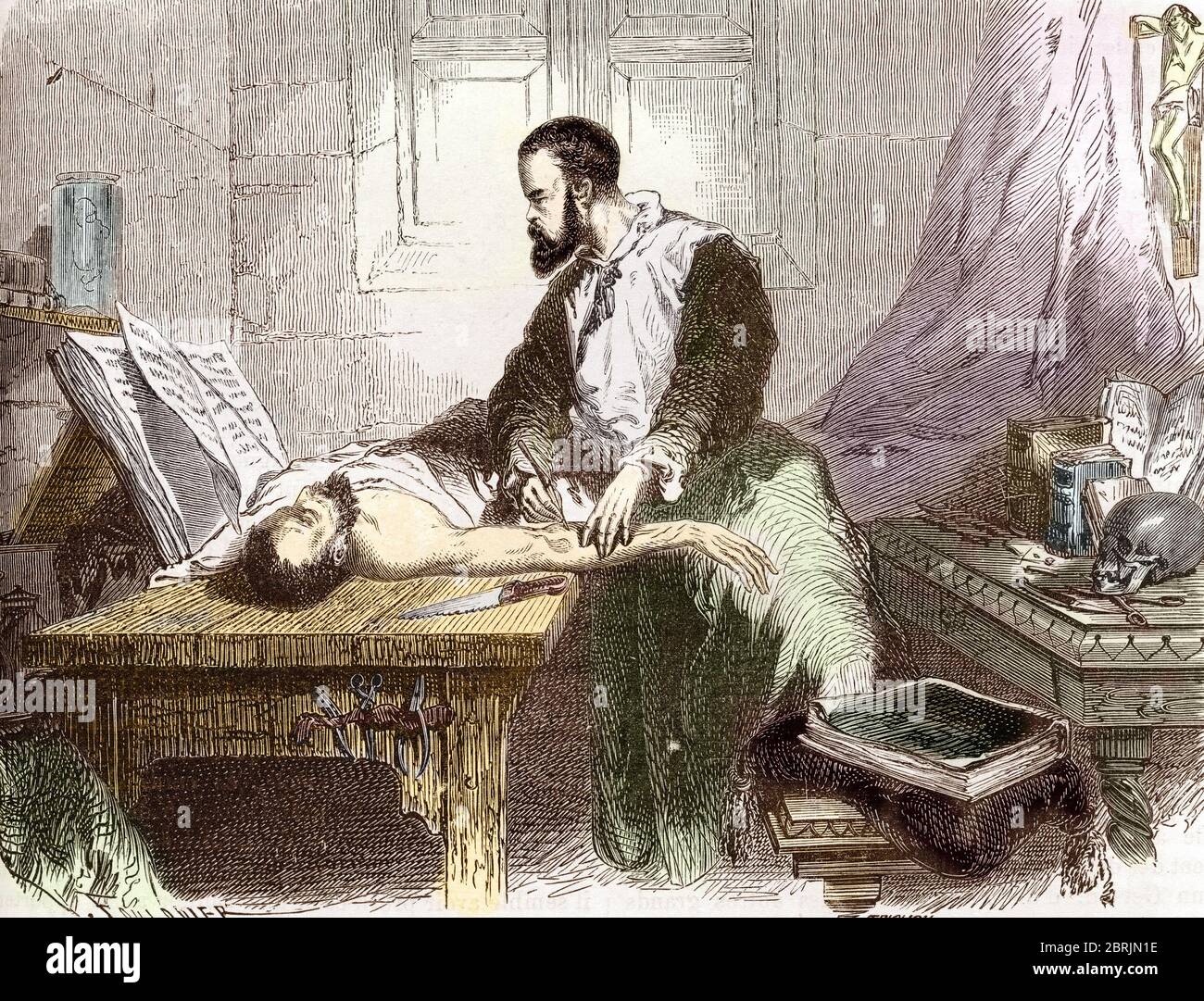 Anatomiste francais -Fotos und -Bildmaterial in hoher Auflösung – Alamy