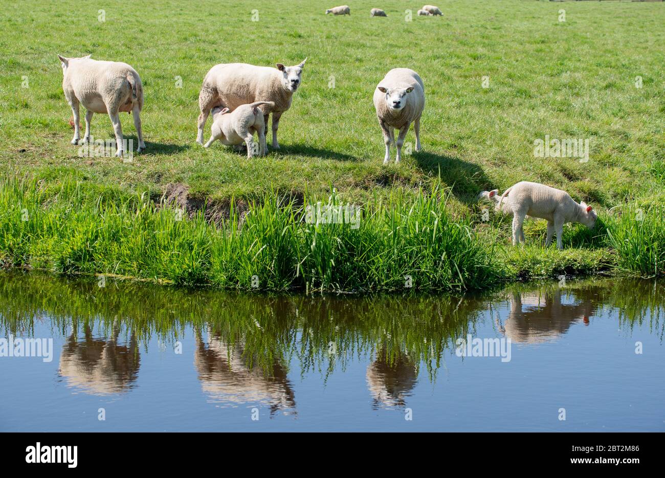 Sich versammeln -Fotos und -Bildmaterial in hoher Auflösung – Alamy