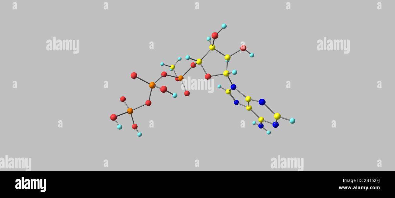 Adenosintriphosphat oder ATP ist eine komplexe organische Chemikalie ...