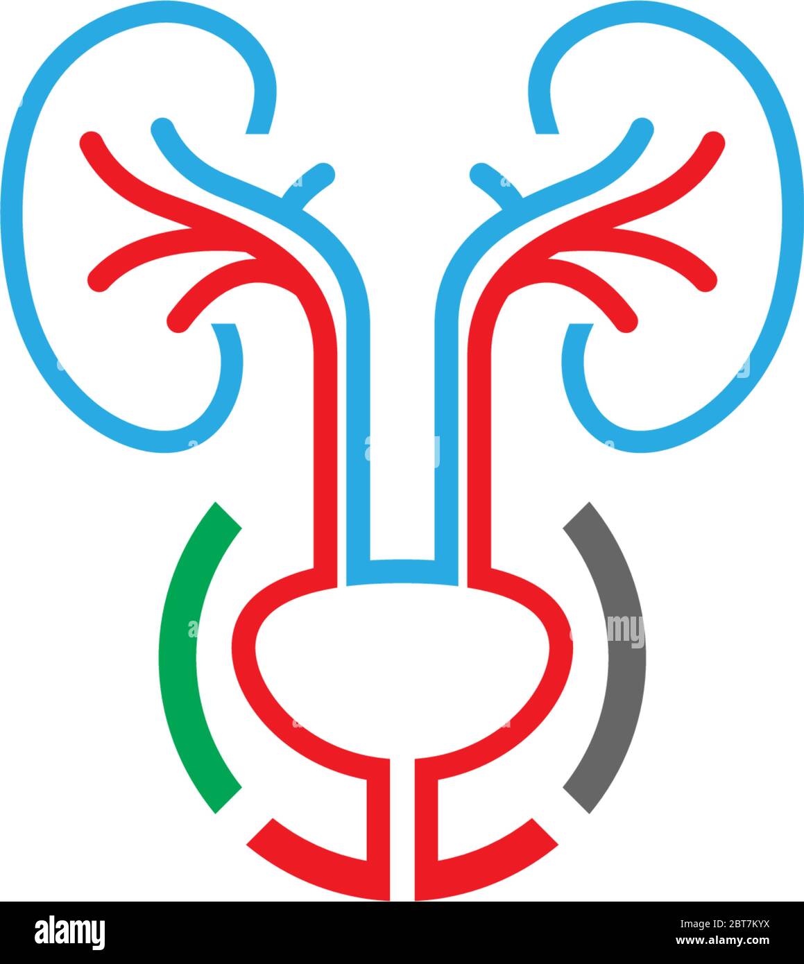Urologie Logo, Niere Logo Symbol Gesundheit Illustration Stock ...