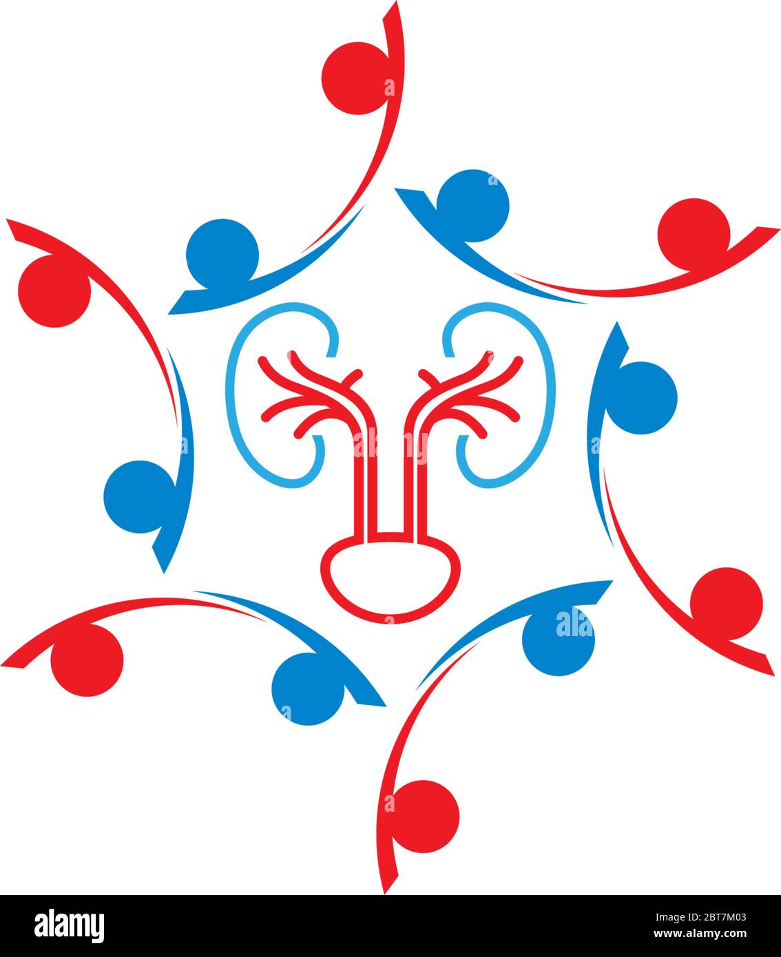 Urologie Logo, Niere Logo Symbol Gesundheit Illustration Stock ...
