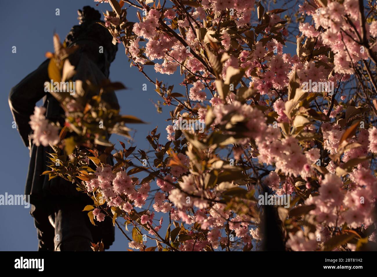 William rhind -Fotos und -Bildmaterial in hoher Auflösung – Alamy