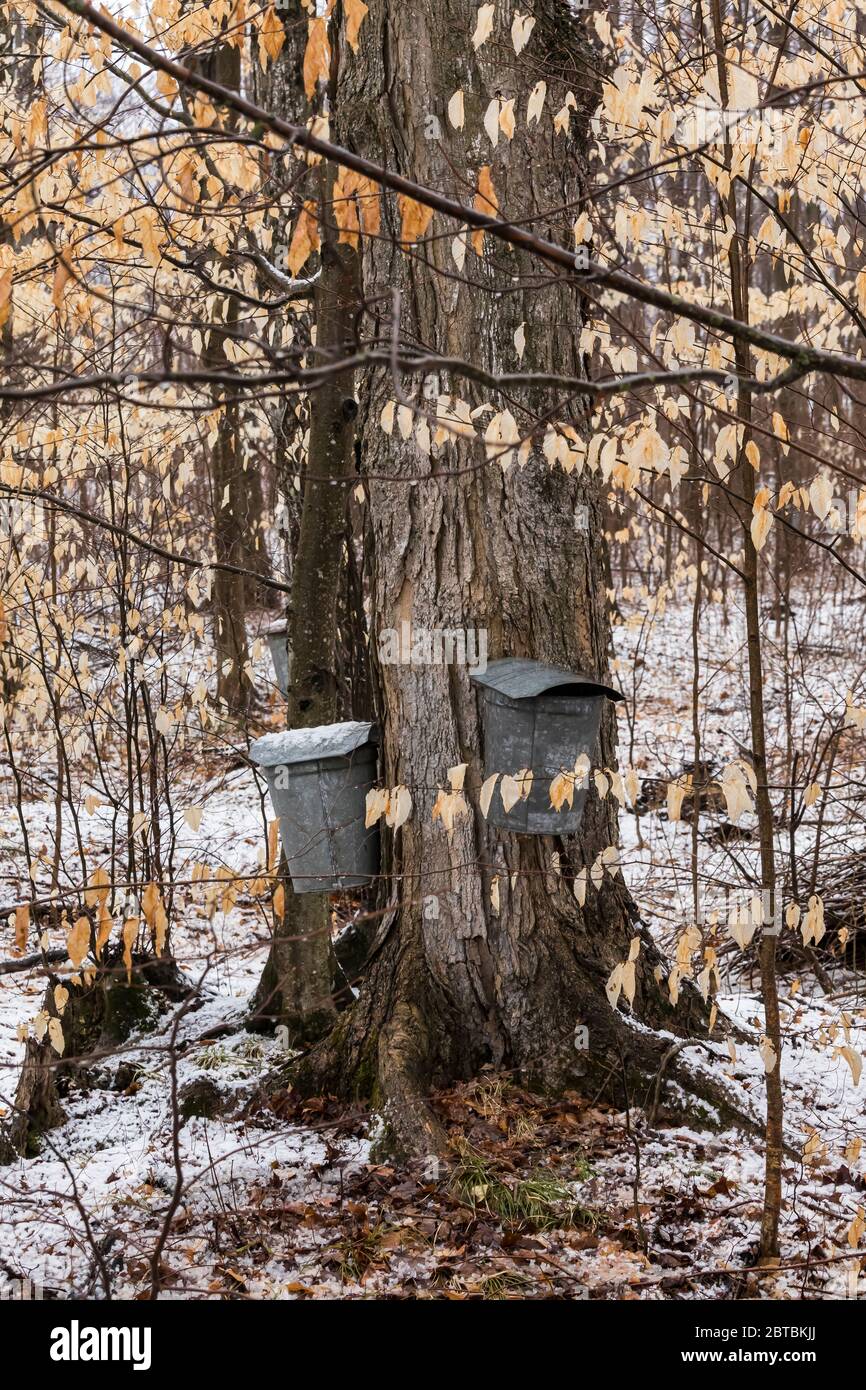 Eimer sammeln tropfen -Fotos und -Bildmaterial in hoher Auflösung – Alamy