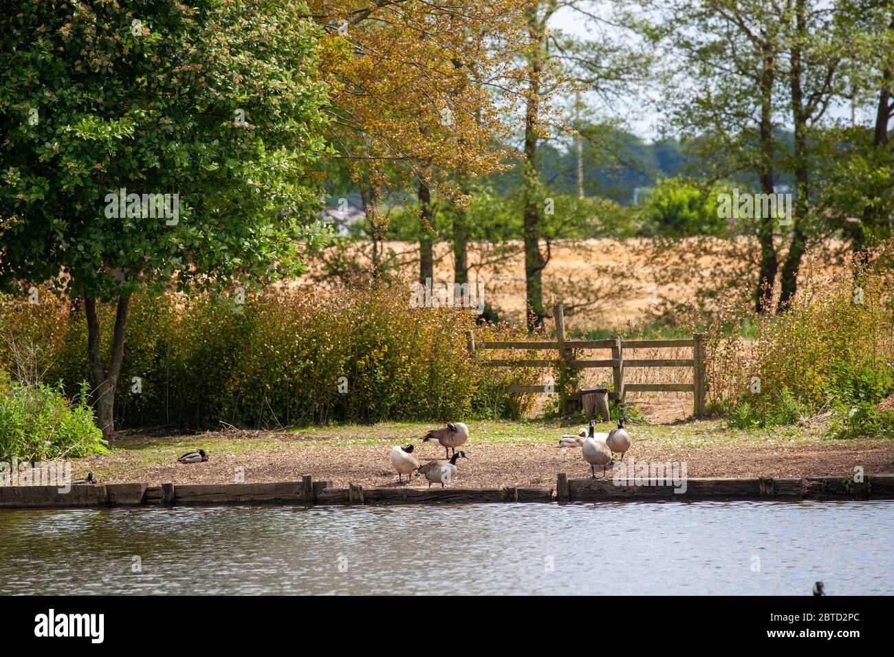 Winterlicher pool -Fotos und -Bildmaterial in hoher Auflösung – Alamy