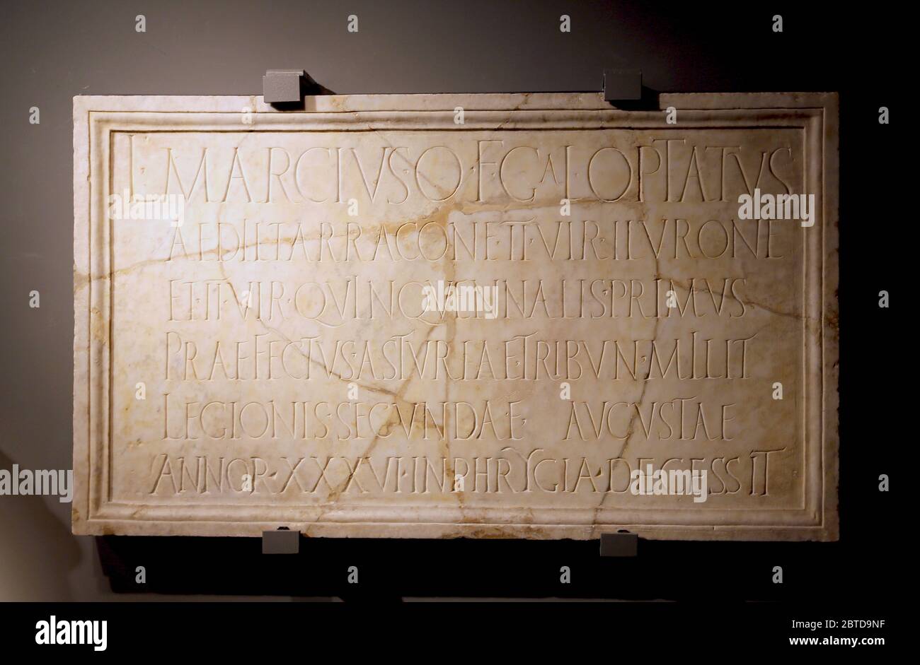 Lucius marcius optanus -Fotos und -Bildmaterial in hoher Auflösung – Alamy