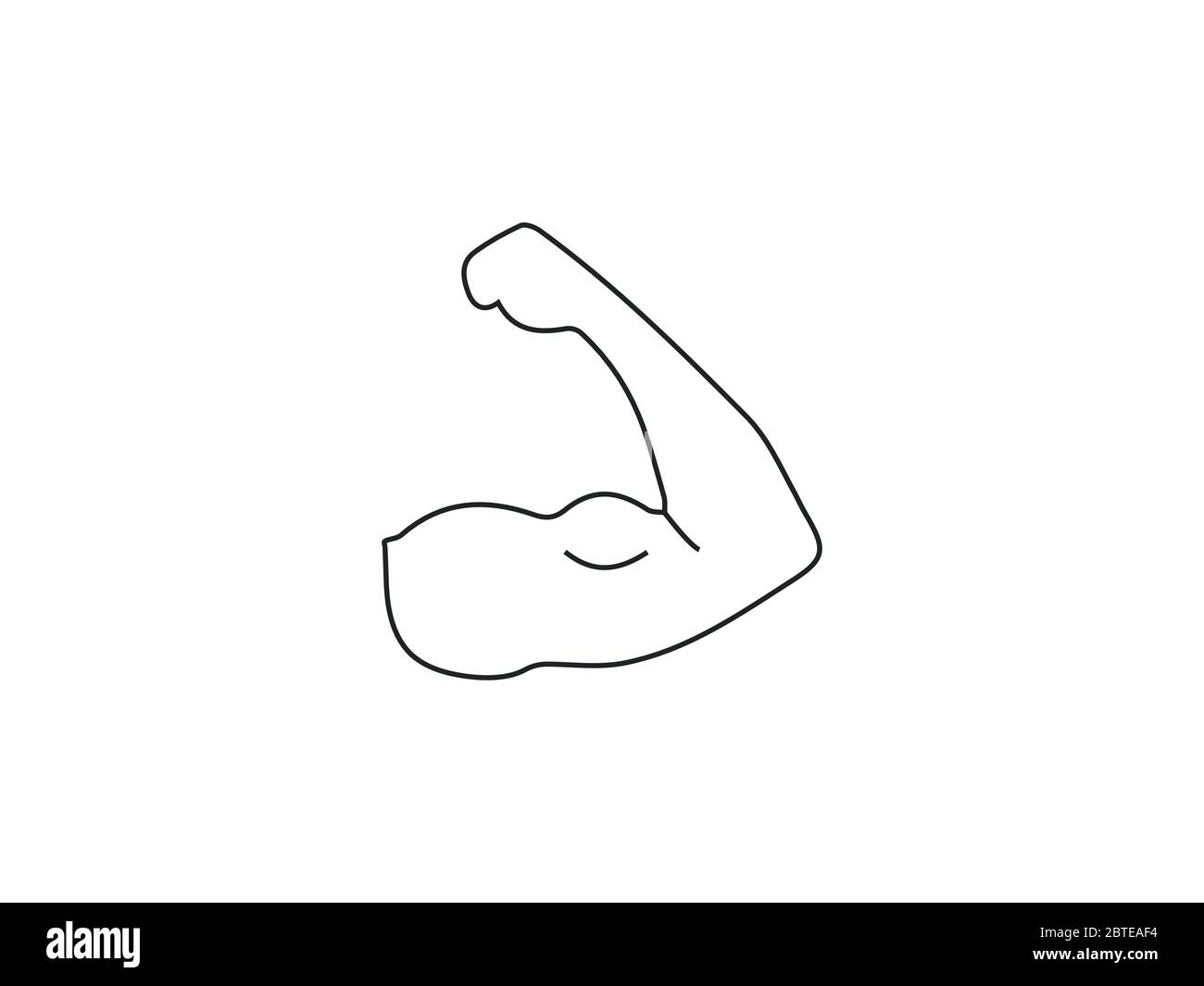 Bizeps anatomie Stock-Vektorgrafiken kaufen - Alamy