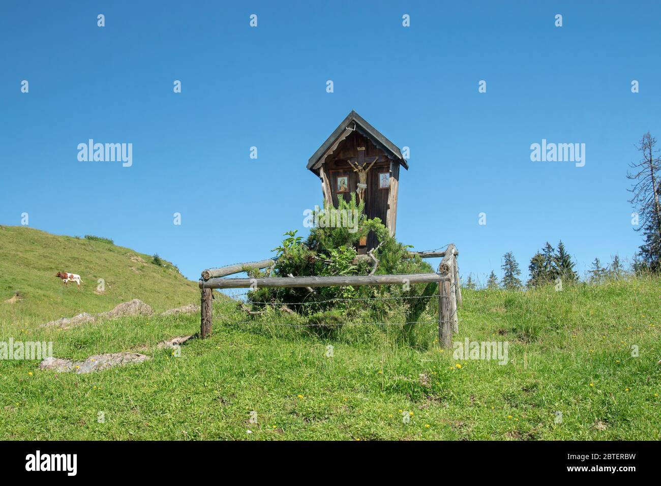 Gipfelkreuz auf der Büchsenalm im Gebiet der Königsbachalm am Jenner ... Gipfelkreuz auf der Büchsenalm im Gebiet der Königsbachalm am Jenner ...