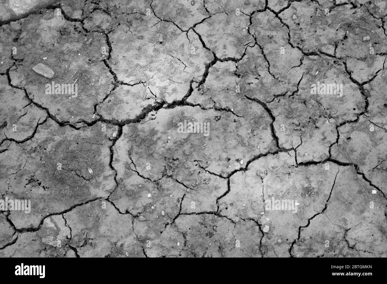 Feiner brauner boden -Fotos und -Bildmaterial in hoher Auflösung – Alamy