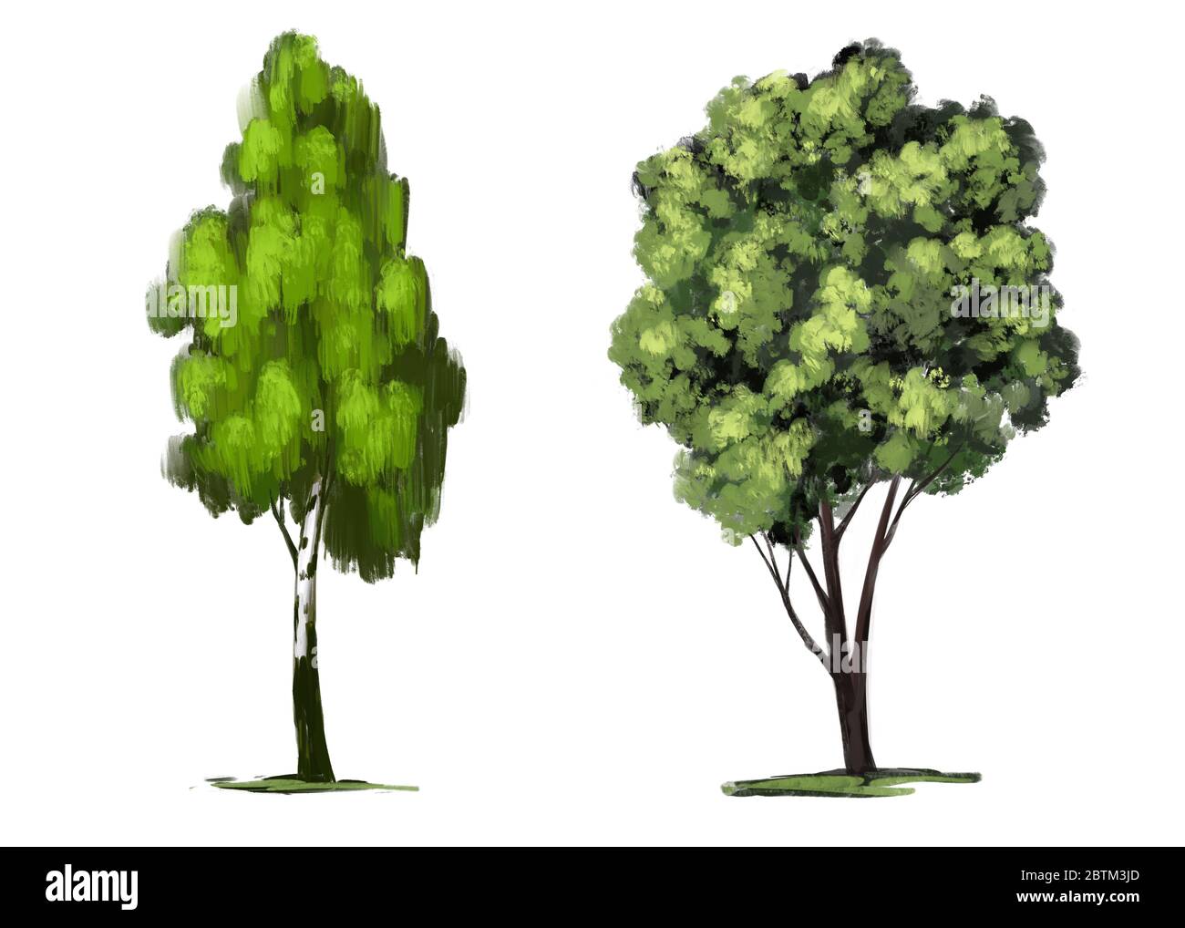 Baum gesetzt florale Elemente, Natur, handgezeichnete Skizze Kunst ...