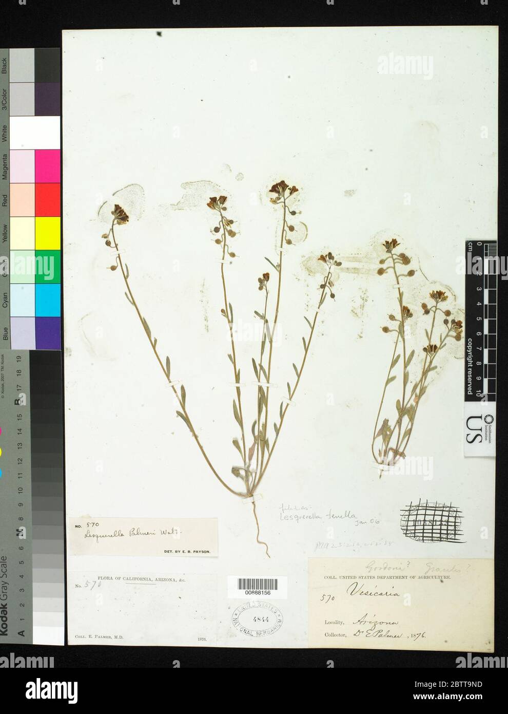 Ein nelson -Fotos und -Bildmaterial in hoher Auflösung – Alamy