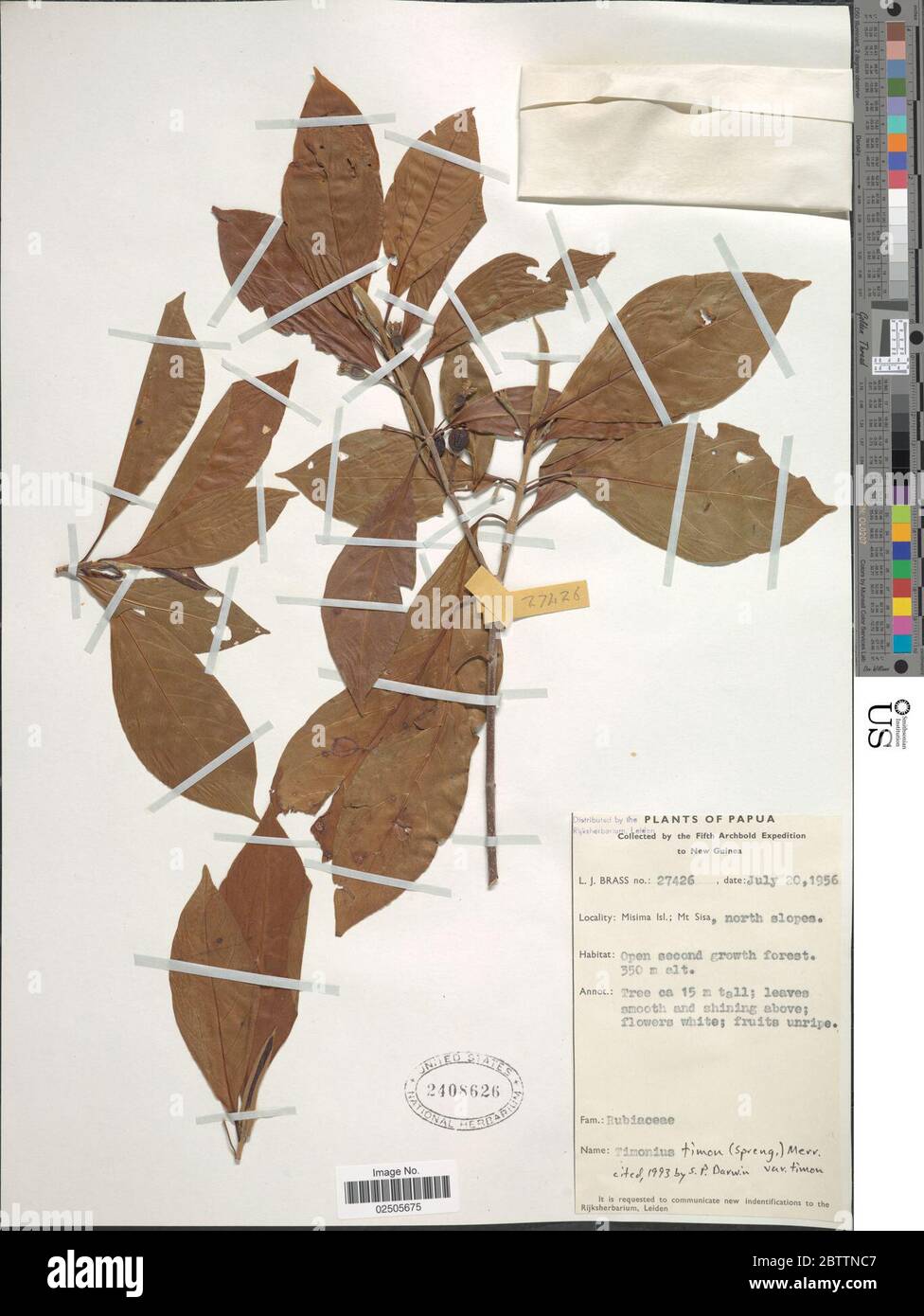 S timon -Fotos und -Bildmaterial in hoher Auflösung – Alamy