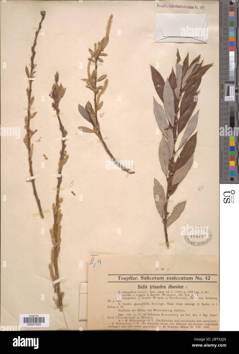 Var discolor -Fotos und -Bildmaterial in hoher Auflösung – Alamy