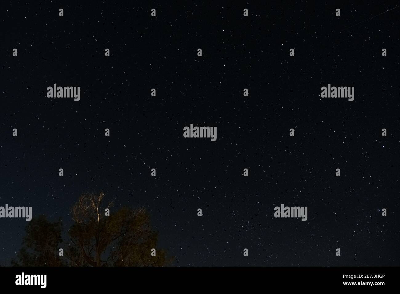 Blendende sterne -Fotos und -Bildmaterial in hoher Auflösung – Alamy