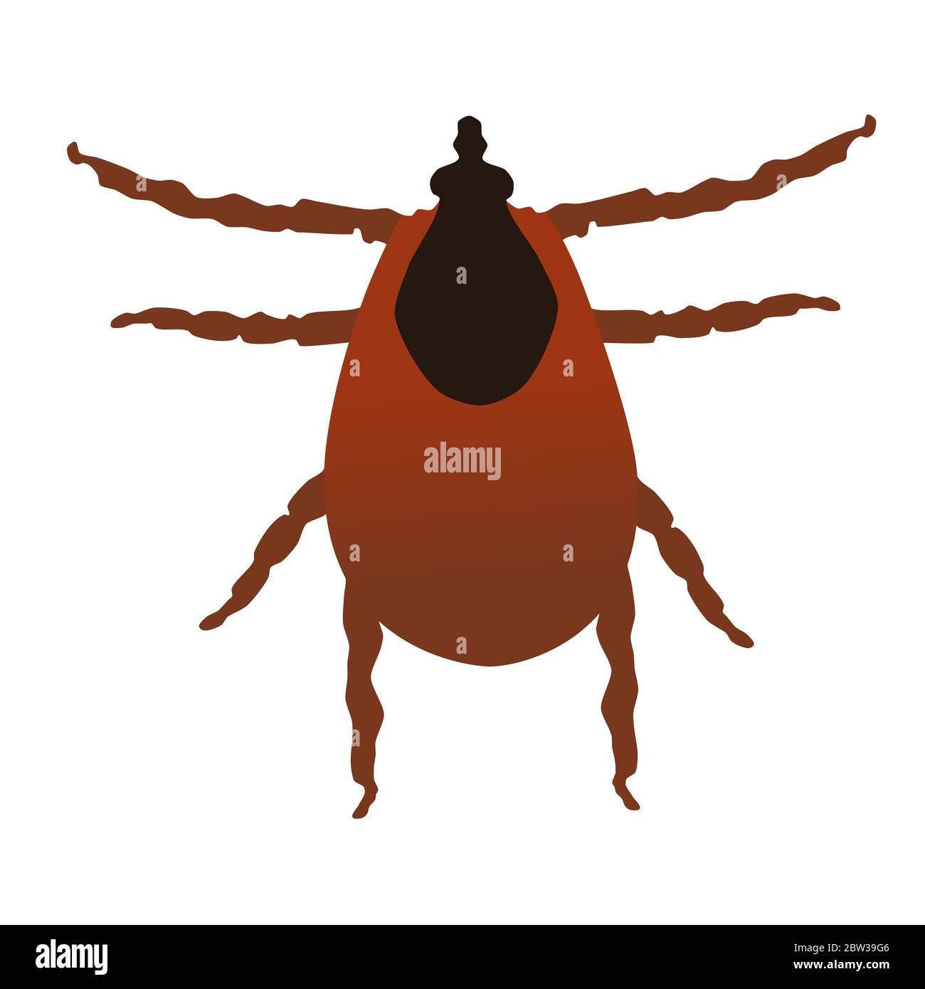 Braune Zecke Insekt Symbol isoliert auf weißem Hintergrund. Zeichen von ...