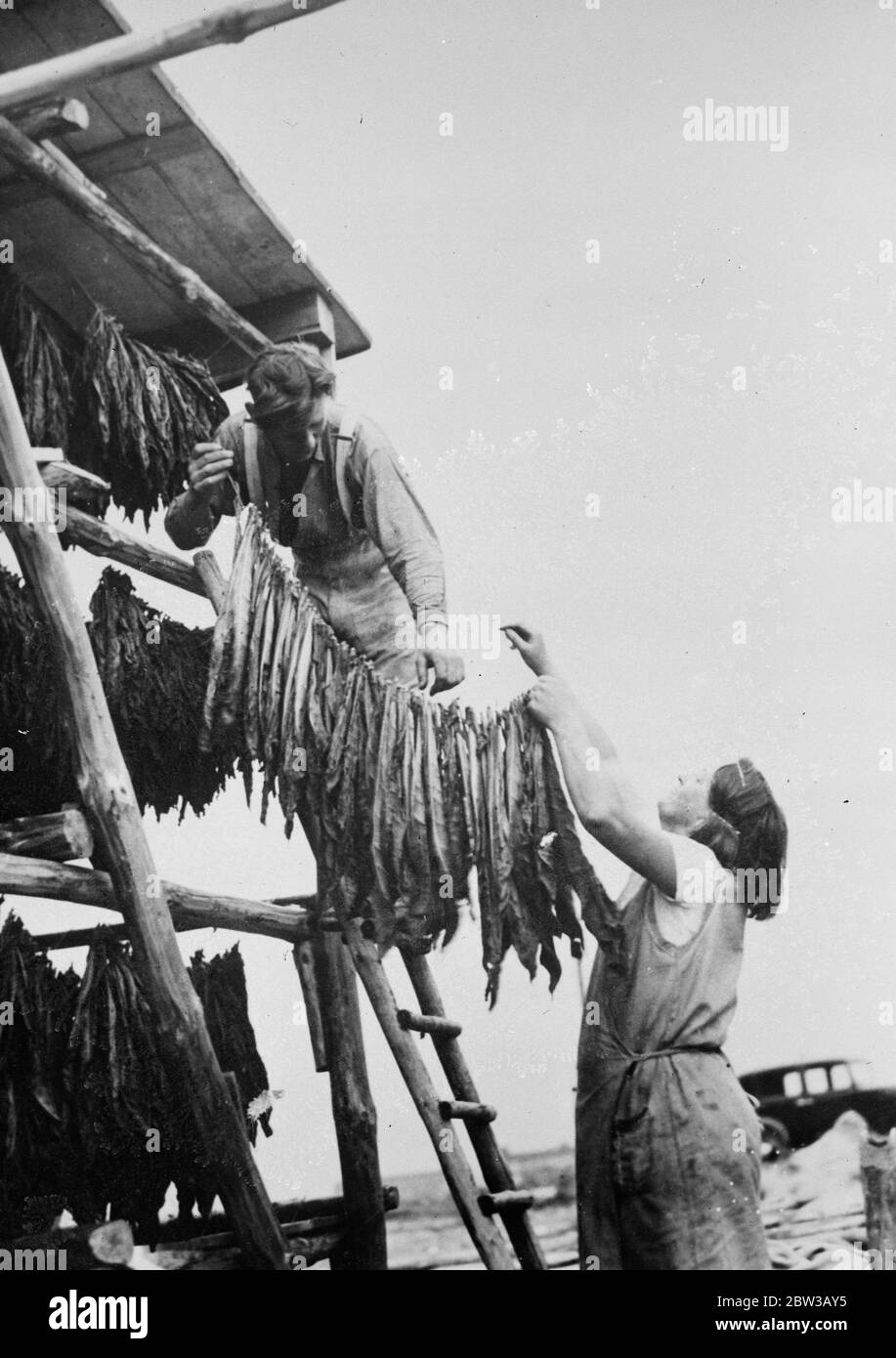 Landwirtschaft 1934 deutschland -Fotos und -Bildmaterial in hoher Auflösung – Alamy