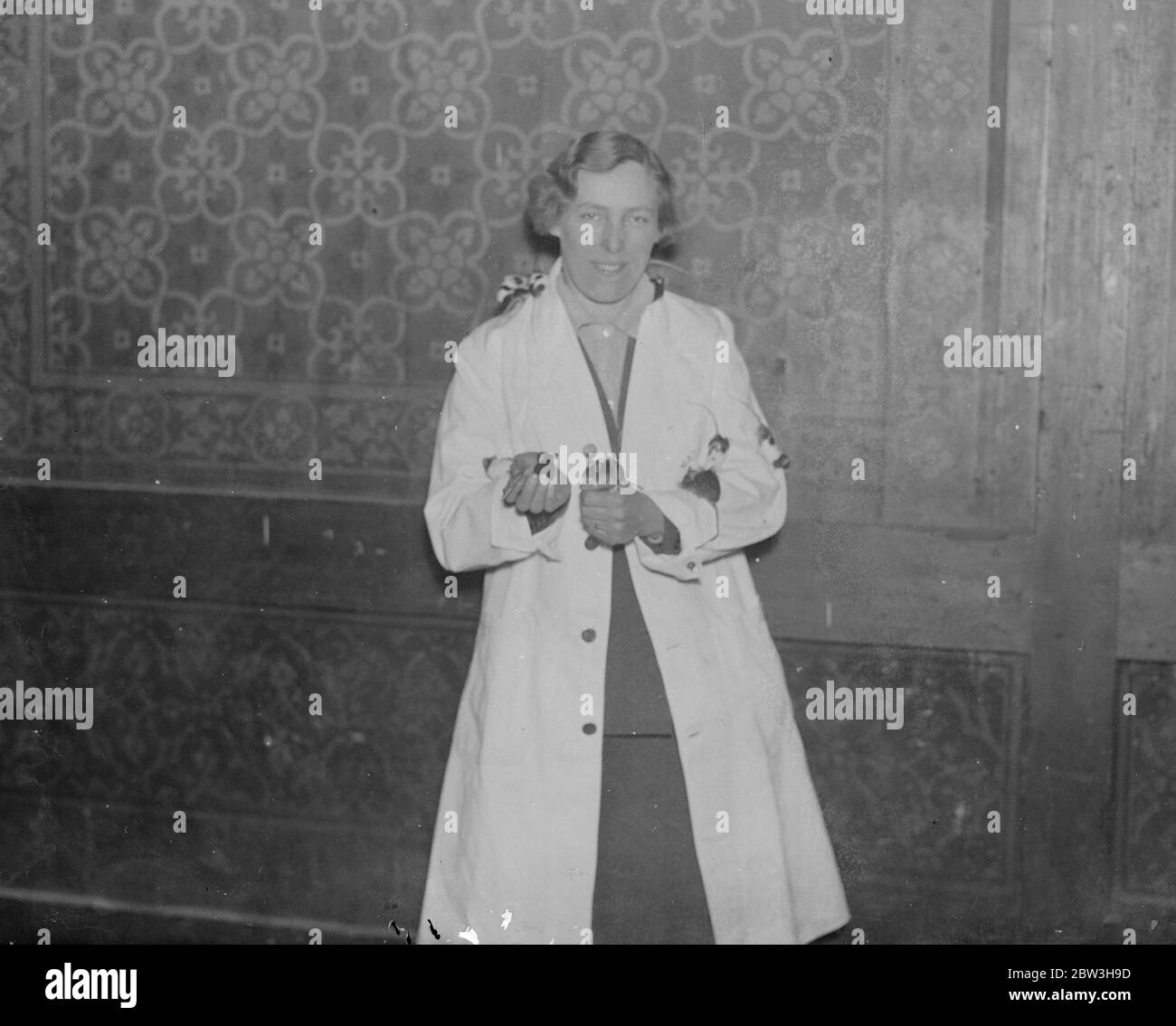 Ratten und Mäuse in London zu sehen. Die Internationale Geflügel- und ...