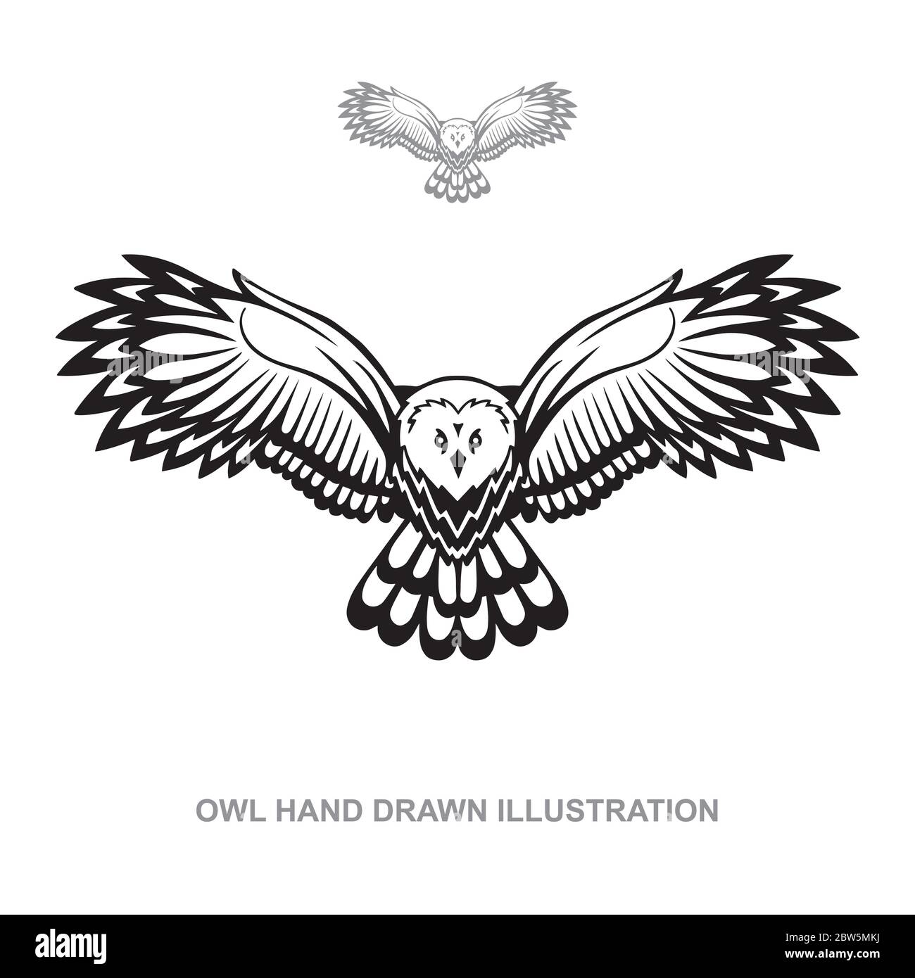 Eule. Faulende Eule Hand gezeichnete Vektor-Illustration. Skizze für ...