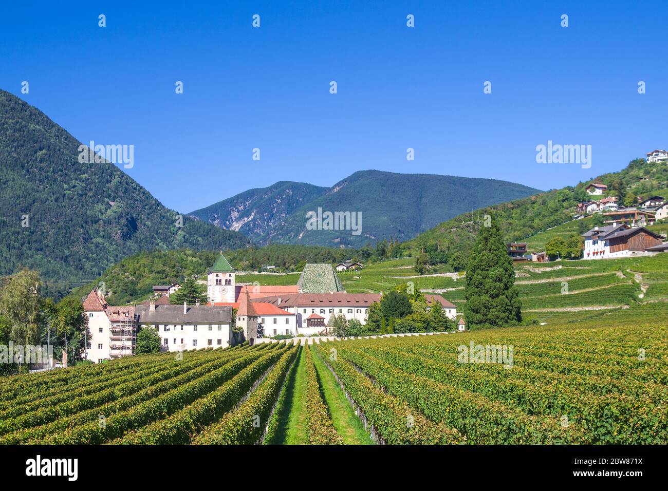 Herrliche Weinberge der Abtei von novacella, in italien, tirol, altes ...