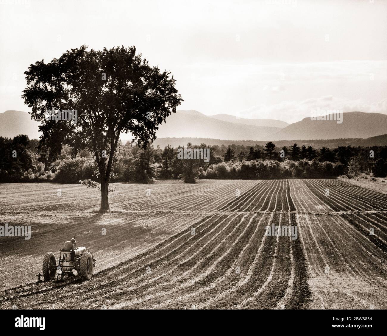 Ländliche landwirtschaft landwirt landwirte beruf berufe job jobs ...