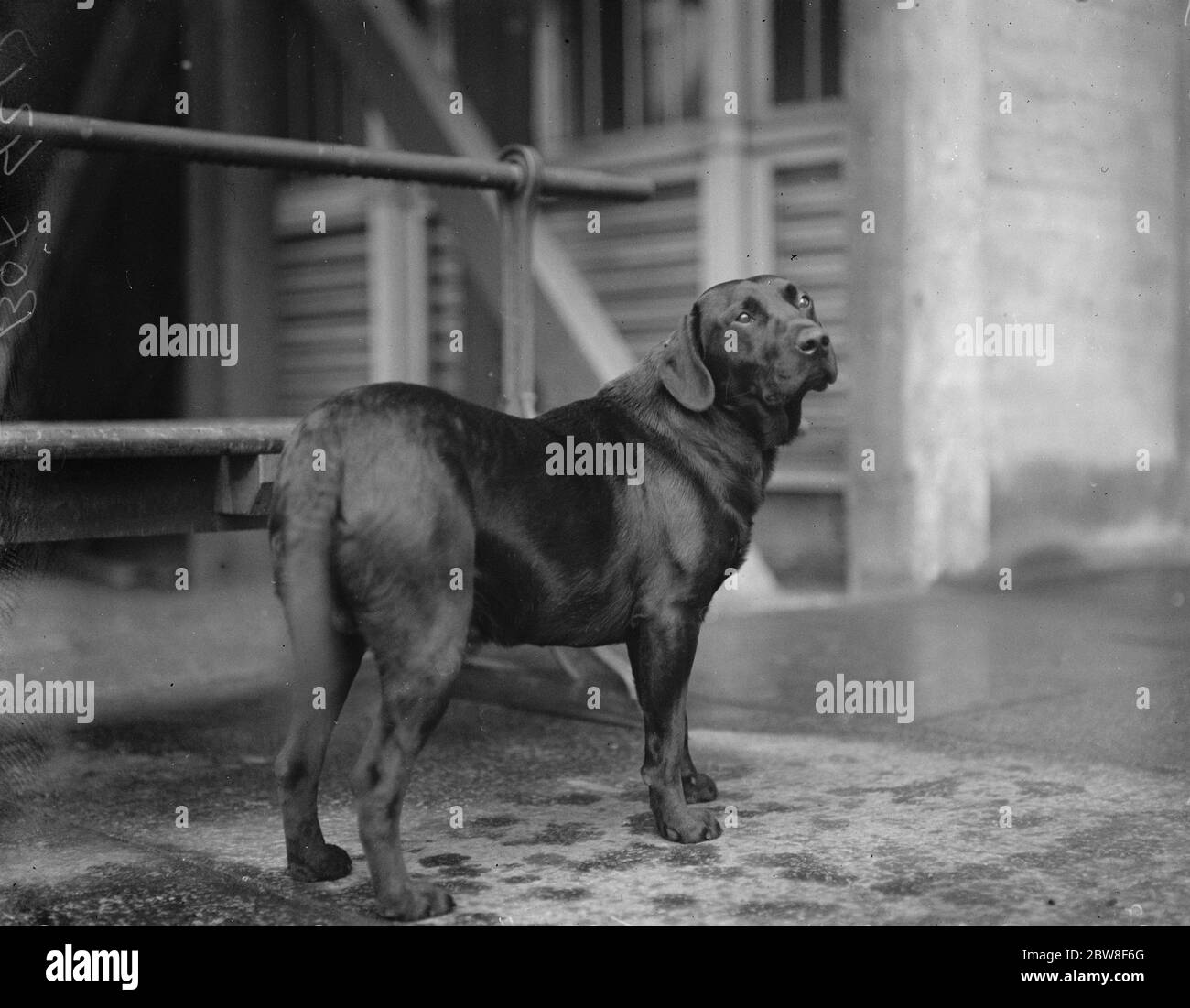 Nicht ausgestellt -Fotos und -Bildmaterial in hoher Auflösung – Alamy