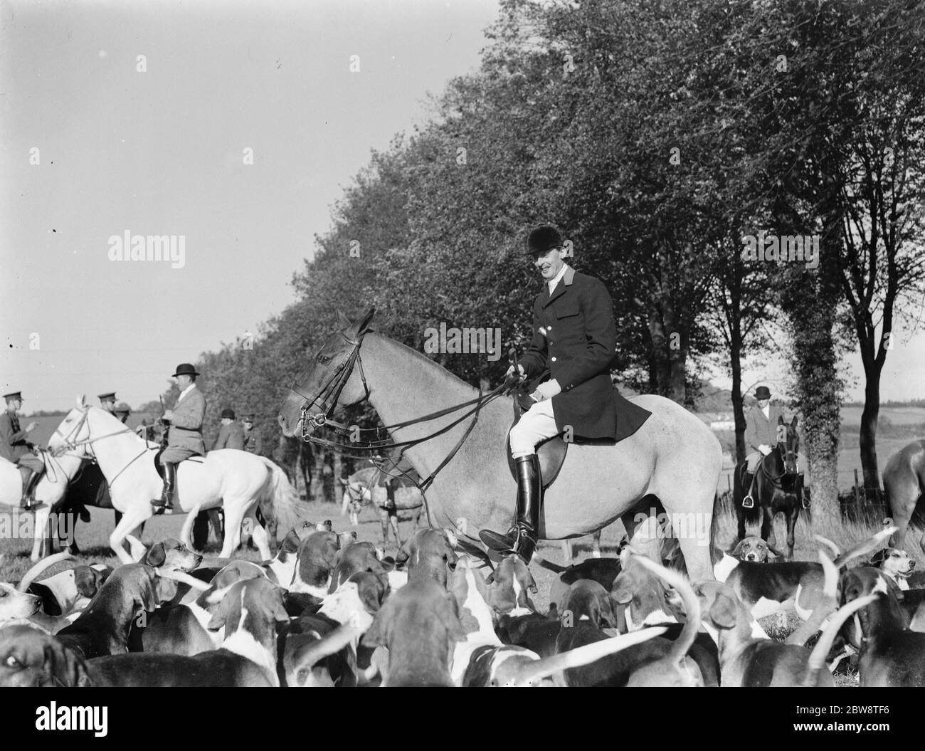 Ra draghunt -Fotos und -Bildmaterial in hoher Auflösung – Alamy