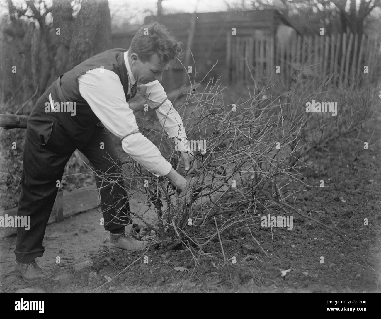 Percy shaw -Fotos und -Bildmaterial in hoher Auflösung – Alamy