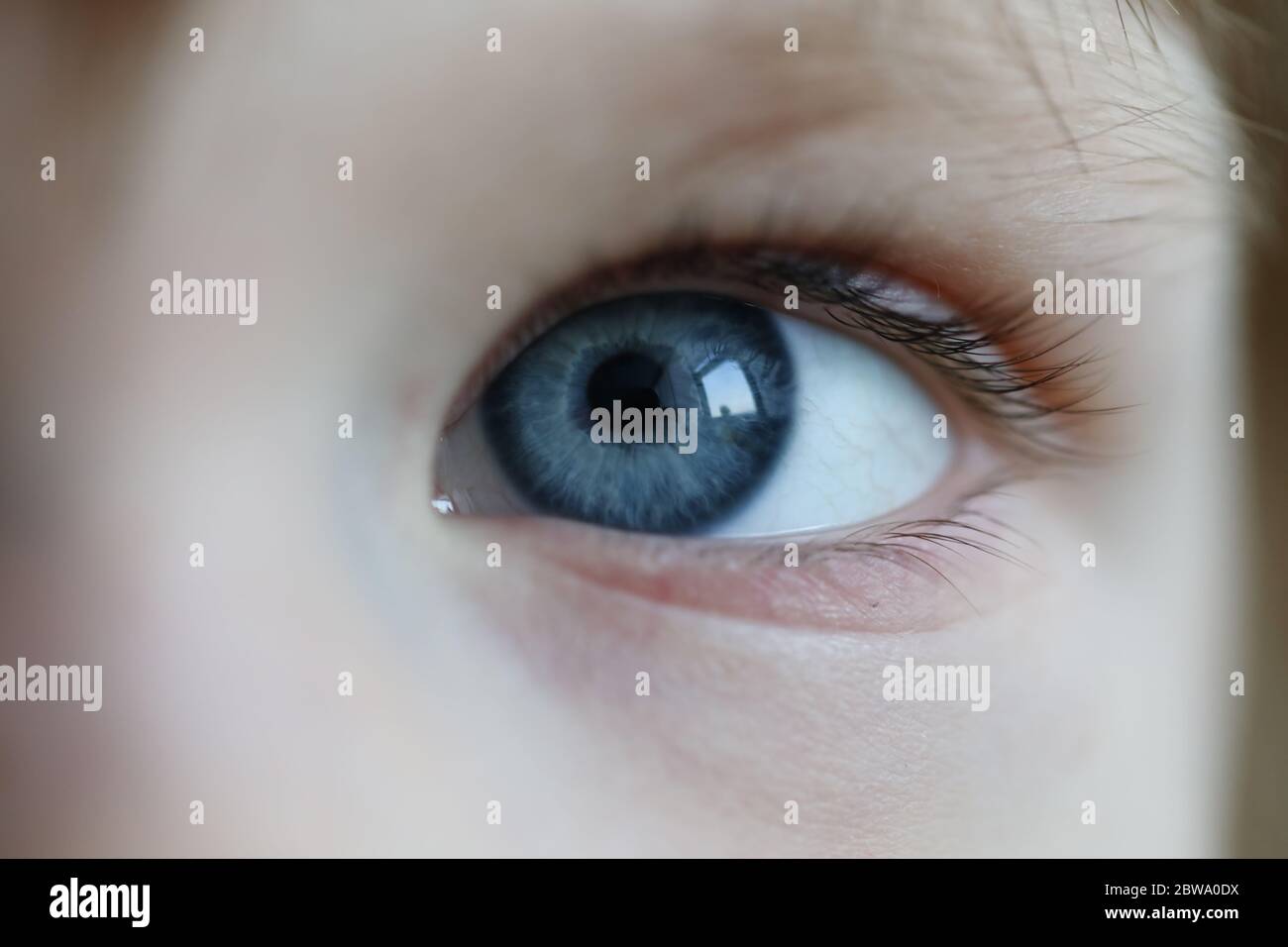 Close Up Augen Stockfotos und -bilder Kaufen - Alamy