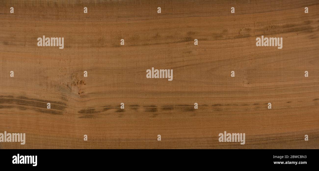 Boden kirschbaum -Fotos und -Bildmaterial in hoher Auflösung – Alamy