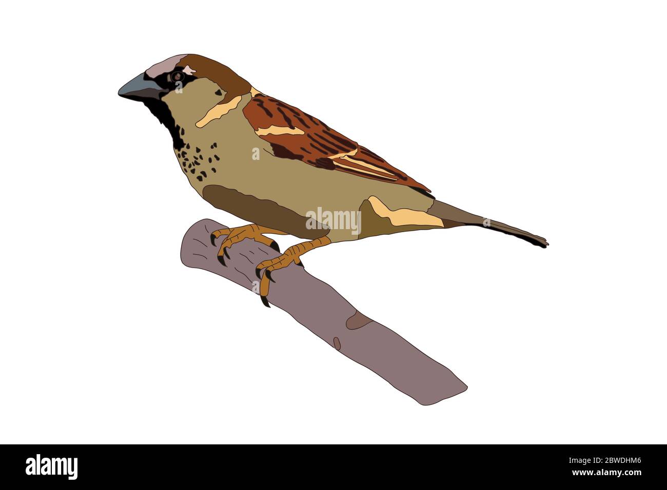 Spatz silhouette Ausgeschnittene Stockfotos und -bilder - Alamy