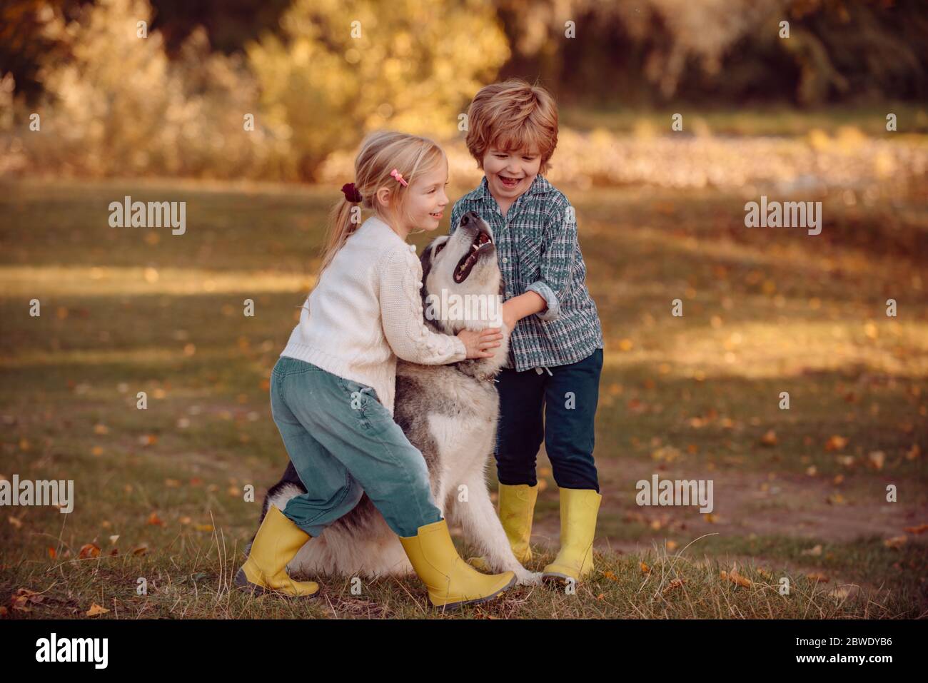 Hund Erkunden Die Landschaft Stockfotos und -bilder Kaufen - Alamy
