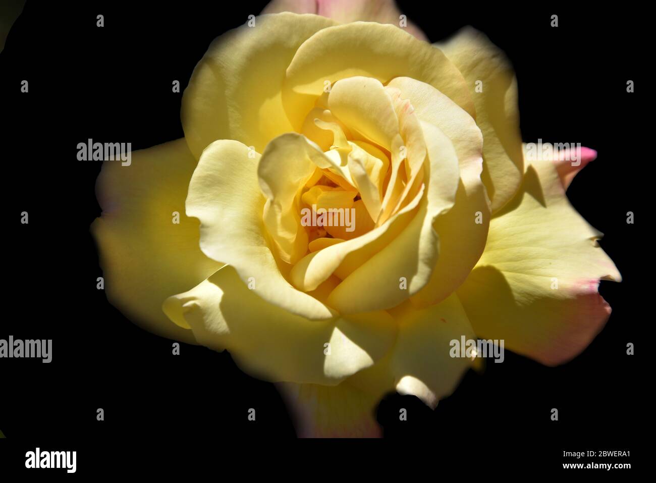 Perfekter frieden -Fotos und -Bildmaterial in hoher Auflösung – Alamy