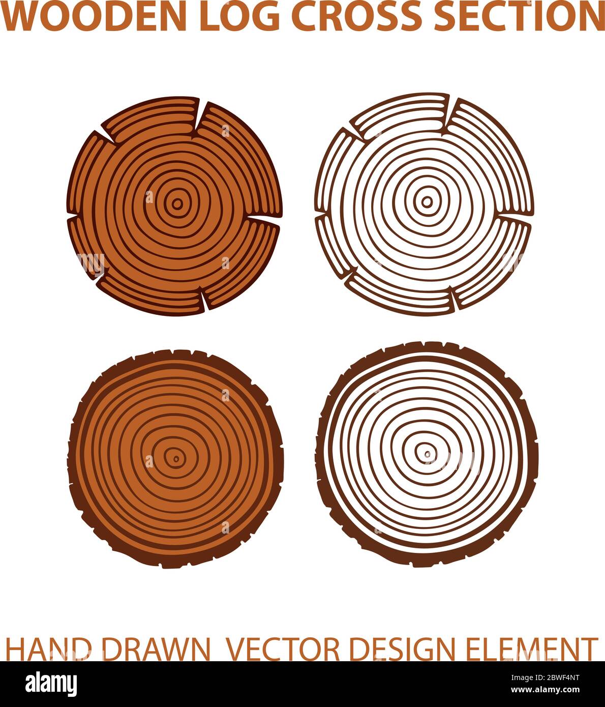 Tree cross section drawing -Fotos und -Bildmaterial in hoher Auflösung – Alamy