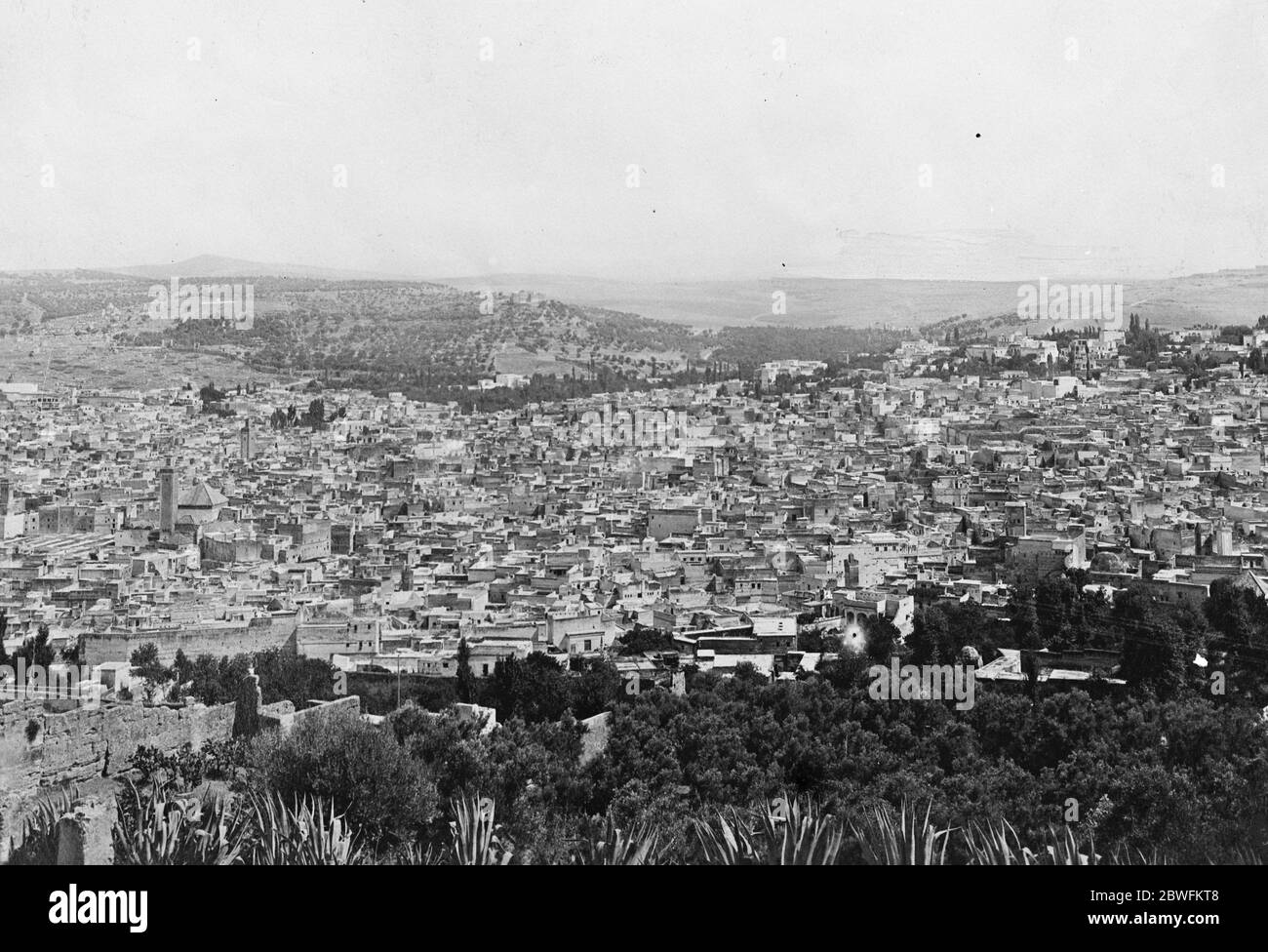 Riff krieg -Fotos und -Bildmaterial in hoher Auflösung – Alamy