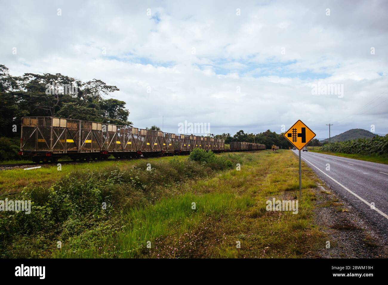 Cane train -Fotos und -Bildmaterial in hoher Auflösung – Alamy