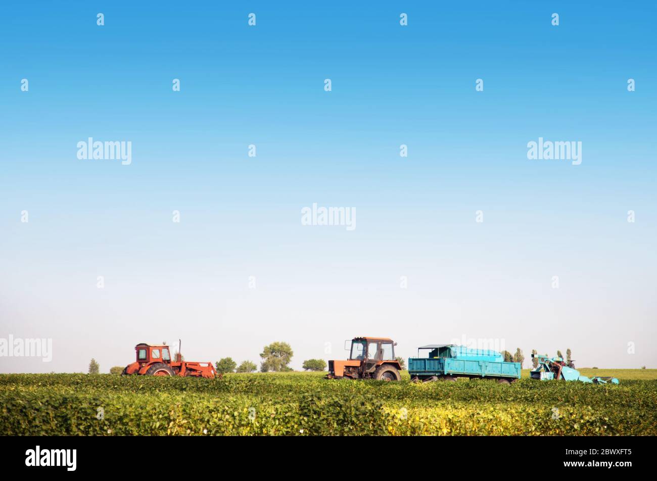 Reihenkultur bauernhof maschinen -Fotos und -Bildmaterial in hoher ...