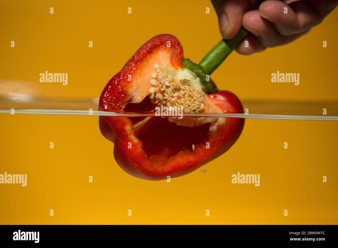 Pfeffer fotoshooting -Fotos und -Bildmaterial in hoher Auflösung – Alamy