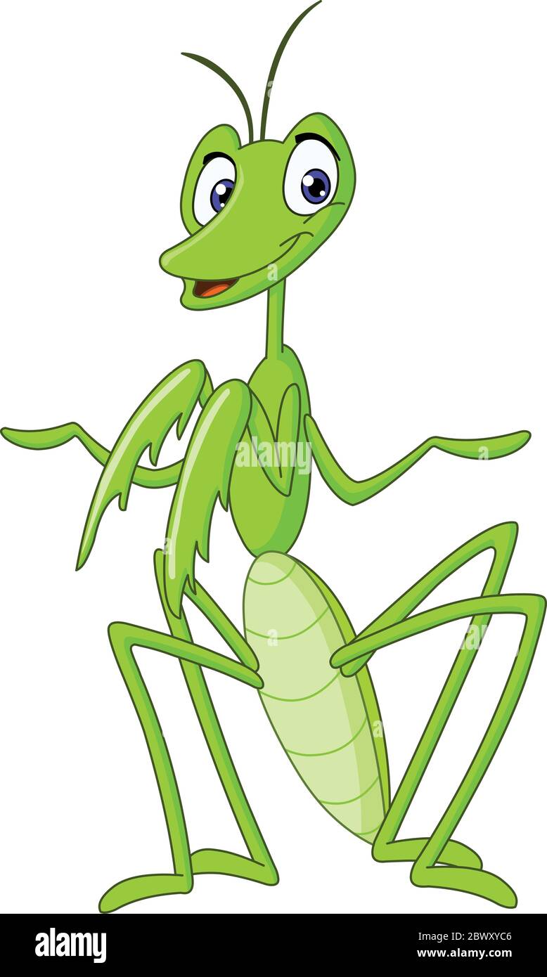 Mantis face Stock-Vektorgrafiken kaufen - Alamy