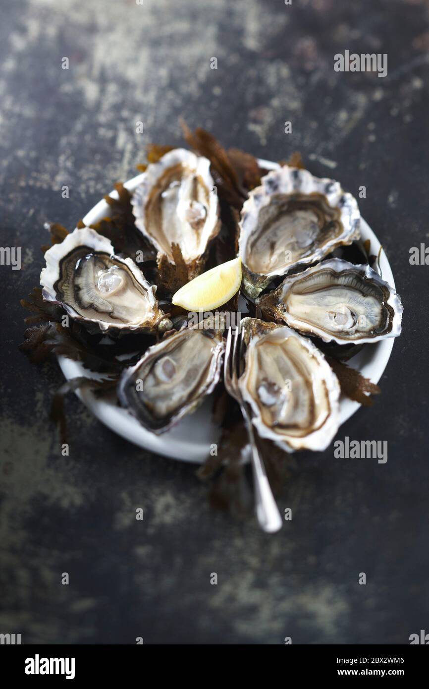 Auster aus der normandie -Fotos und -Bildmaterial in hoher Auflösung ...