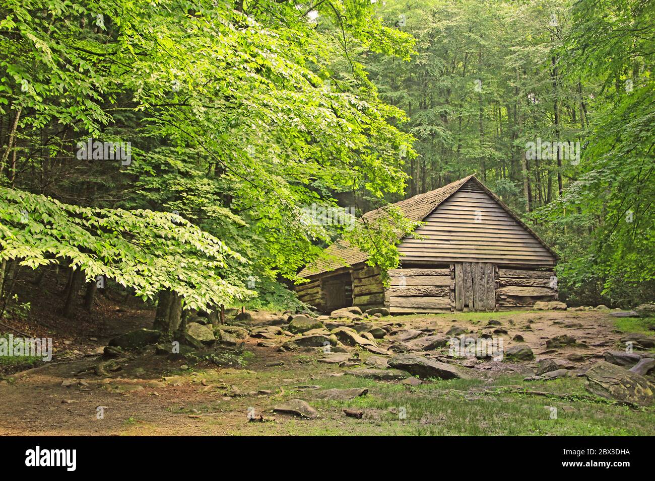 Scheune im wald -Fotos und -Bildmaterial in hoher Auflösung – Alamy