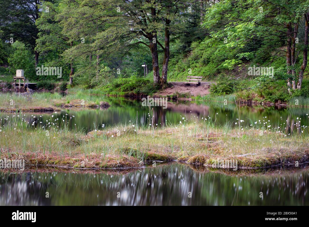 Romantische fantasie -Fotos und -Bildmaterial in hoher Auflösung – Alamy