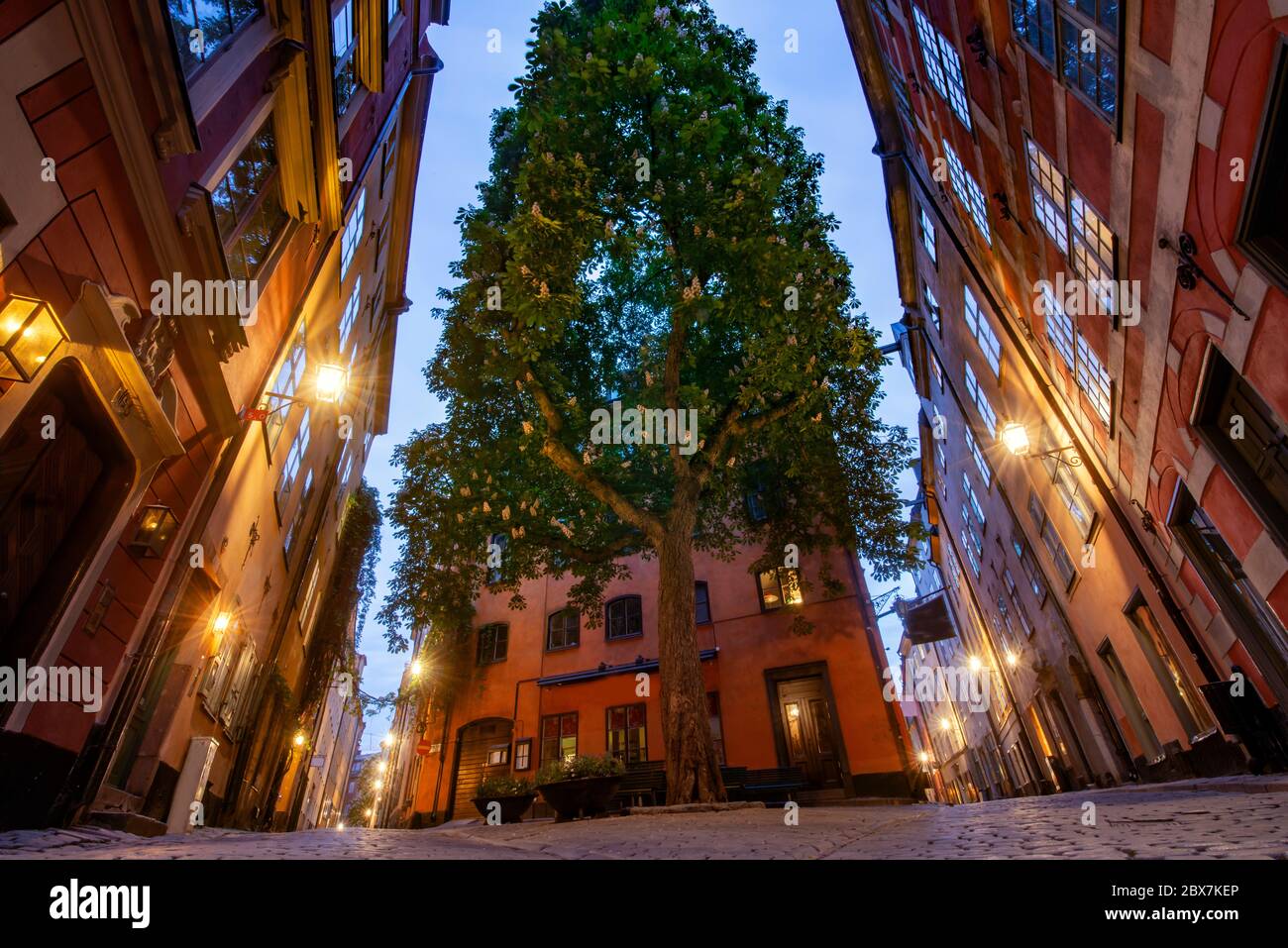 Branda tomten -Fotos und -Bildmaterial in hoher Auflösung – Alamy