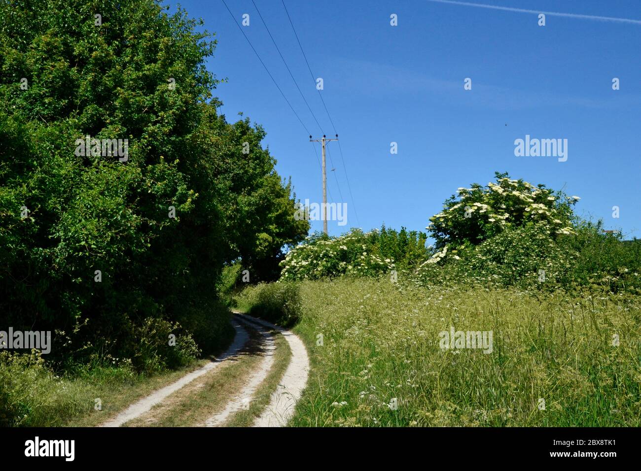 Icknield way -Fotos und -Bildmaterial in hoher Auflösung – Alamy