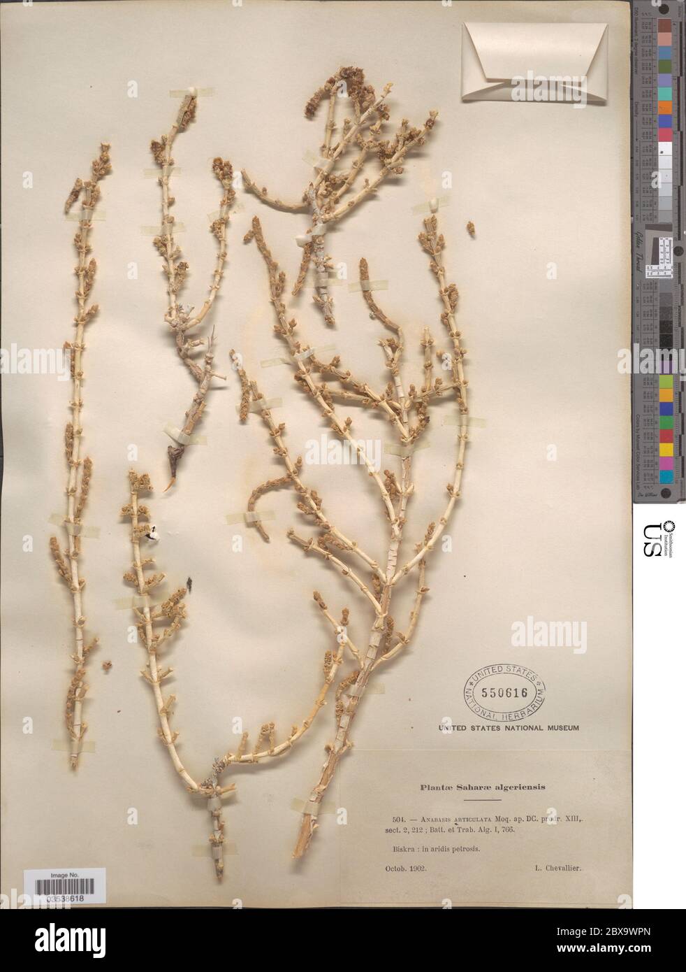 The anabasis -Fotos und -Bildmaterial in hoher Auflösung – Alamy