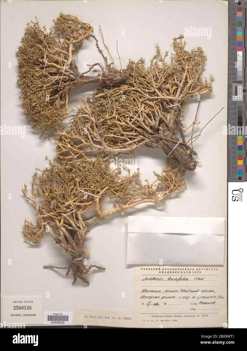 The anabasis -Fotos und -Bildmaterial in hoher Auflösung – Alamy